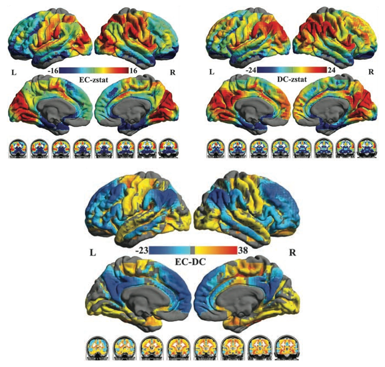 Network Centrality - C-PAC 1.8.5.dev1 Beta documentation
